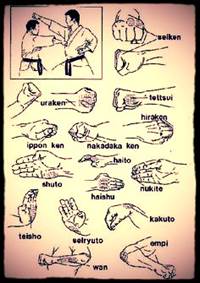 Le Karate Traditionnel Shukokai